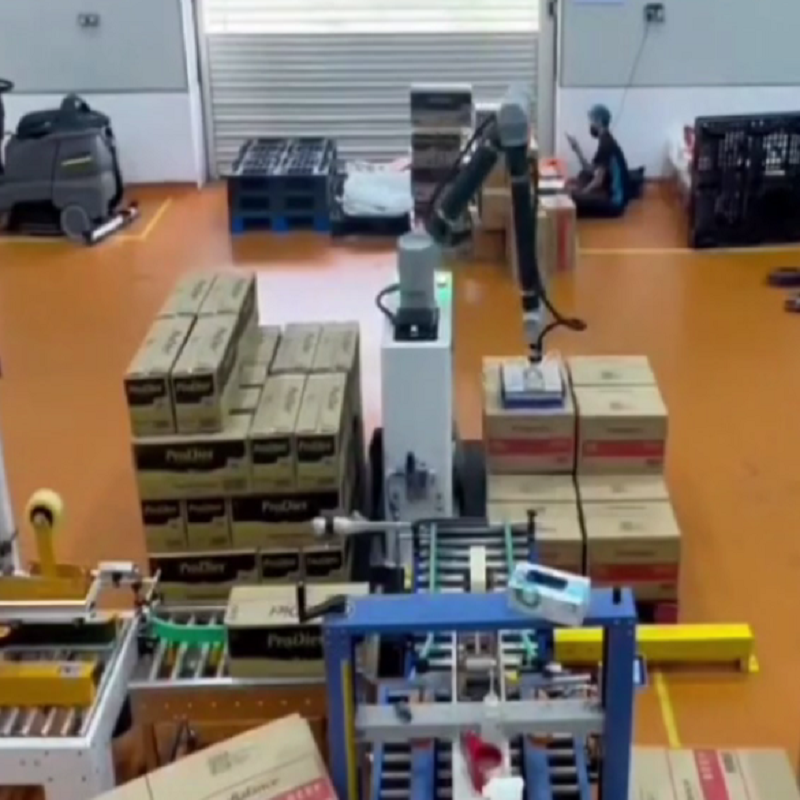 Automatic Multi-functional AI Collaborative Robots Palletizer ...
