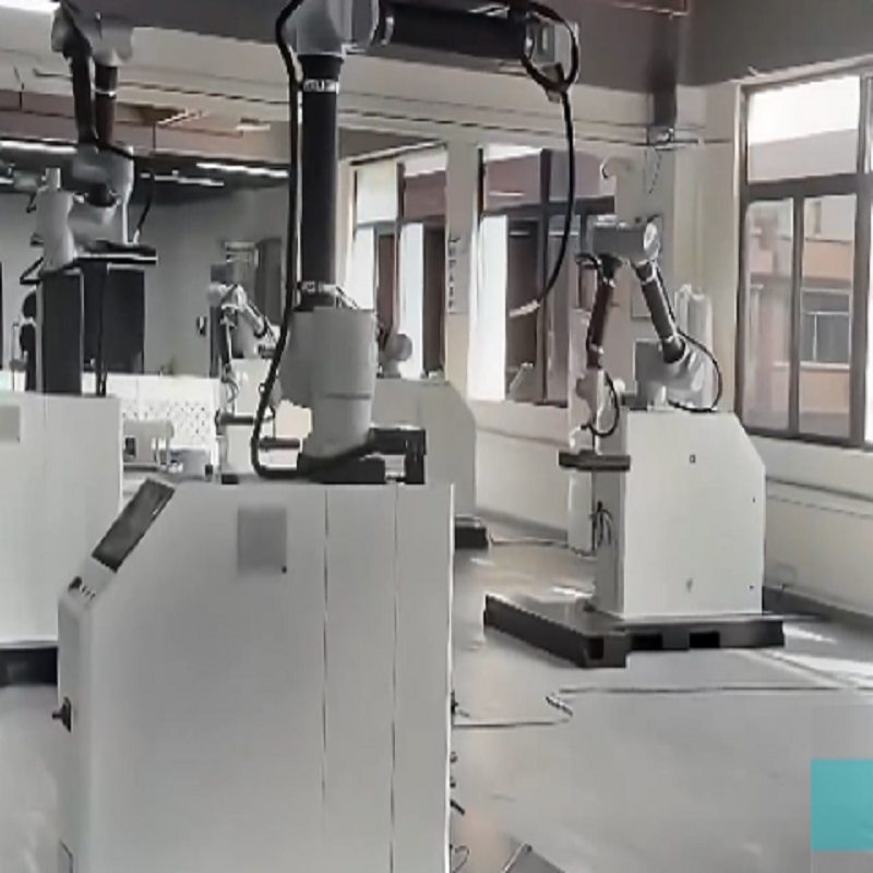 Automatic Multi-functional AI Collaborative Robots Palletizer ...