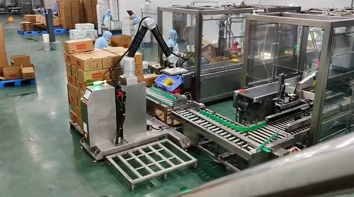 Automatic Multi-functional Delta Robot Case Packer Machine - Techflow Pack