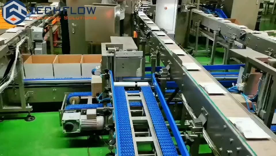Automatic Multi-functional Delta Robot Case Packer Machine - Techflow Pack