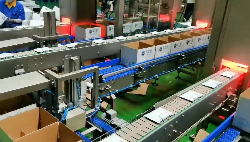 Automatic Multi-functional Delta Robot Case Packer Machine - Techflow Pack