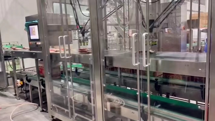 Automatic Multi-functional Delta Robot Case Packer Machine - Techflow Pack