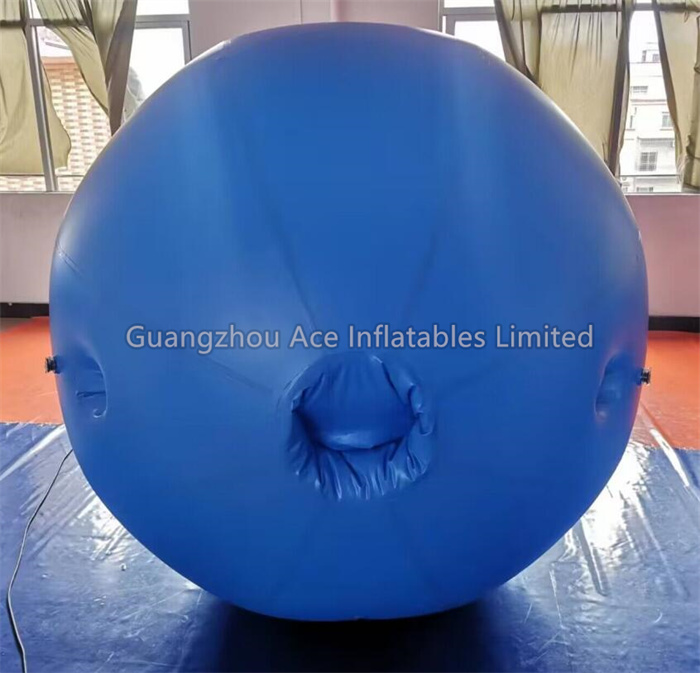 New Arrival Blueberry Suit Inflatable Game Blueberry Inflation Suit