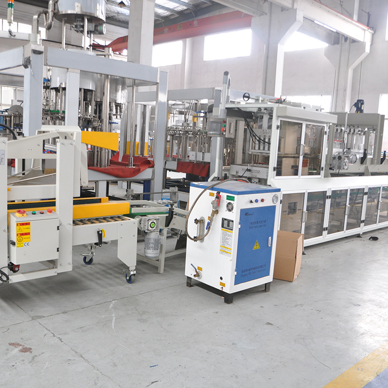 Revolutionizing Packaging Efficiency: the Rise of Bottle Cartoning ...