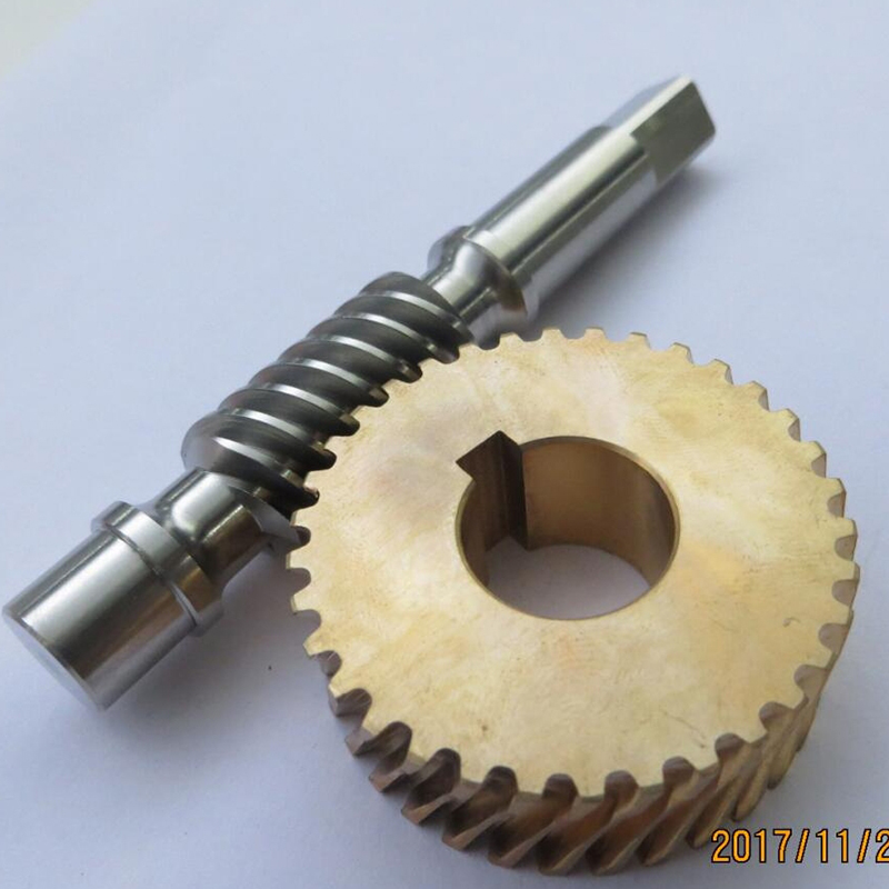 CNC Machining Gears Brass Worm Gear - HKAA