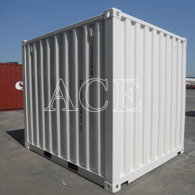 MINI Shipping Container: Small Space, Big Value! | ACE Container