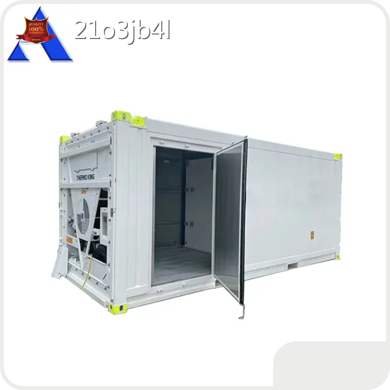 20ft Offshore Container ACE Container, - ACE Container