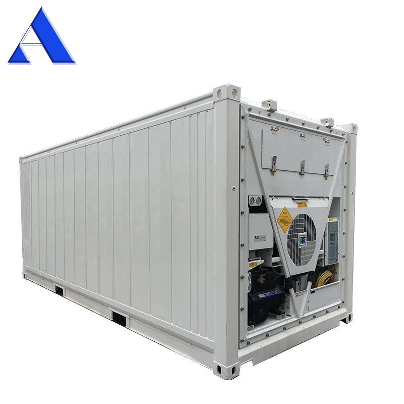 20ft Deep Freezer Reefer Container | ACE Container