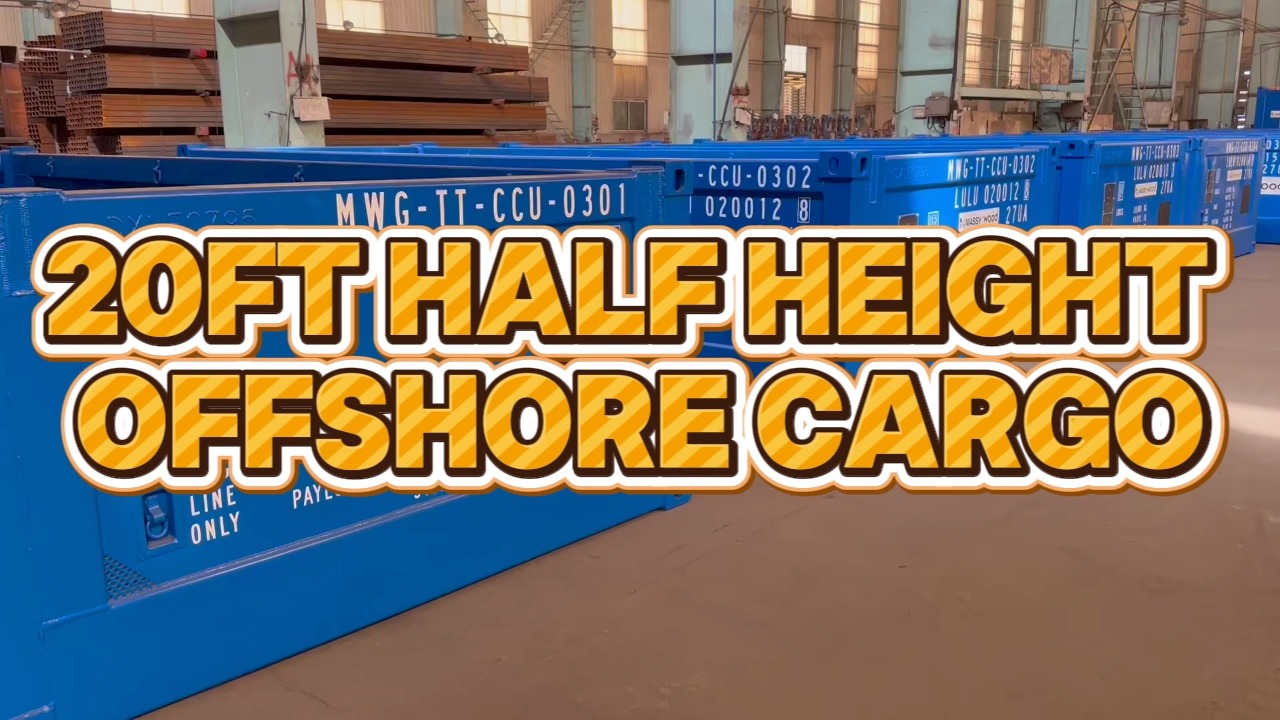 20ft Customized Half Height Offshore Cargo Container | ACE Container