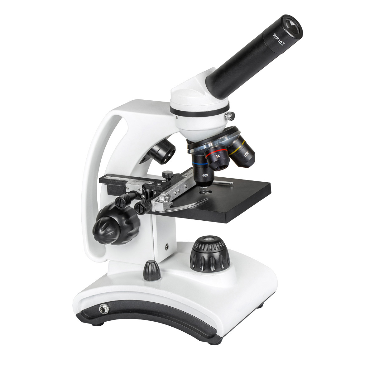 Exploring the Hidden World: the Best Microscopes for Biology Students ...