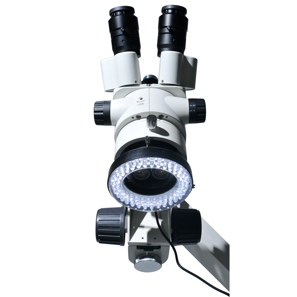 Exploring the Microscopic World: the Benefits of a Digital Microscope ...