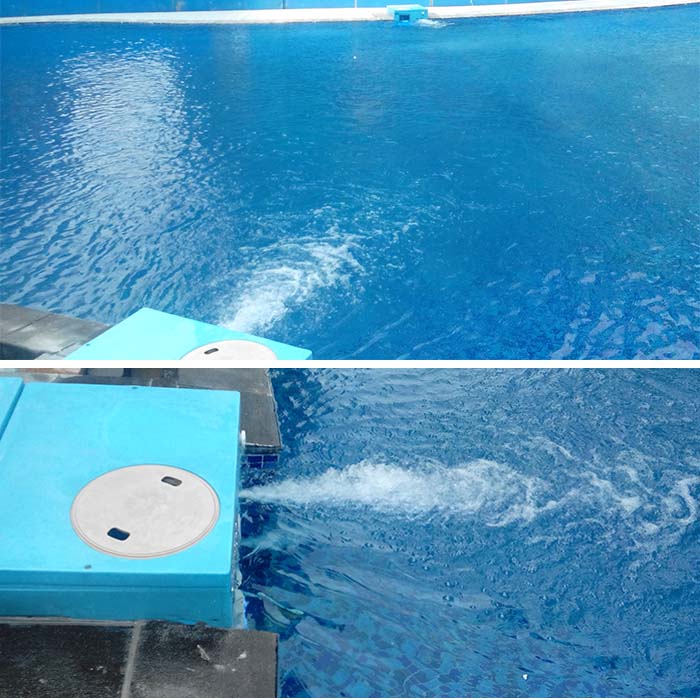 Integrated Swimming Pool Fitler