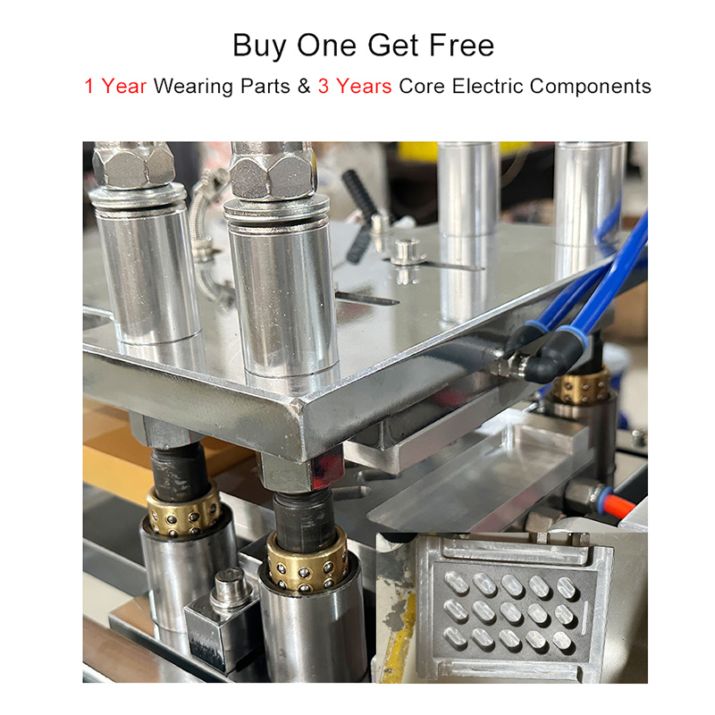 Automatic Capsule Tablet Blister Packing Machine | Urban Machinery