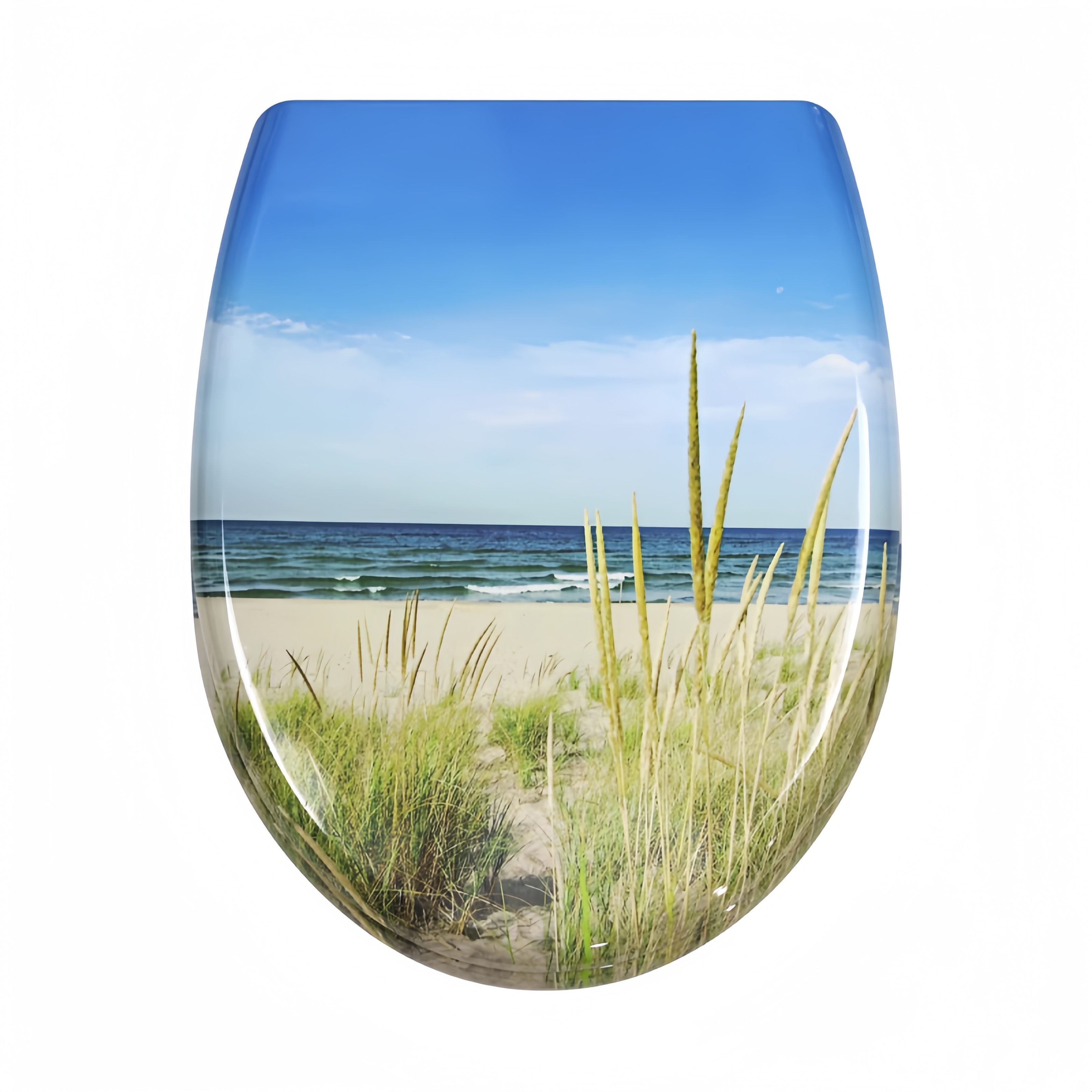 Sedile WC Fanmitrk Duroplast con chiusura ammortizzata: sedile WC con ...