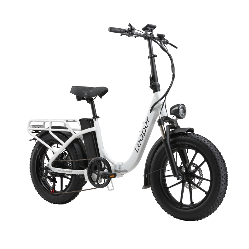 Speakel A1 750W Elektrofahrradstadt Fahrrad 48 V 15AH Batterie 20*4,0 ...