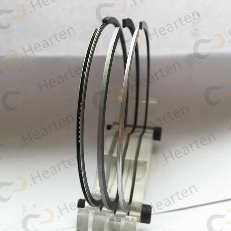 Custom Piston Rings Manufacturer & Spplier - HEARTEN
