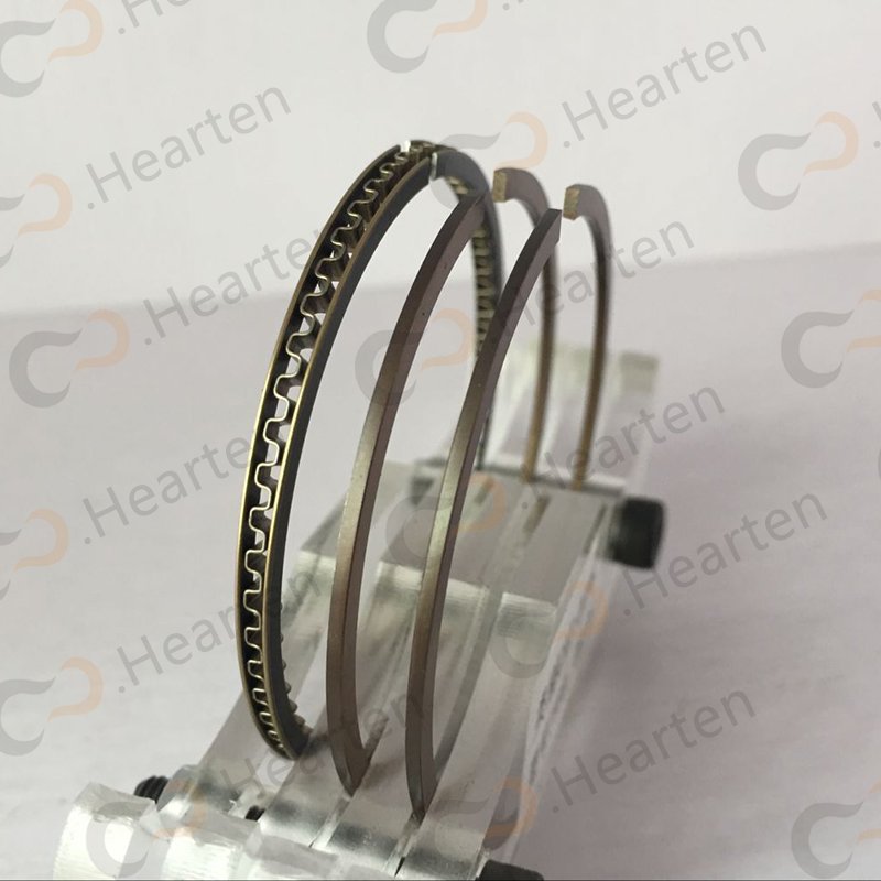 Custom Piston Rings Manufacturer & Spplier - HEARTEN