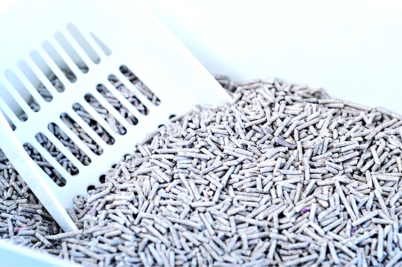 Cat Litter with Activated Charcoal Buying Guide - FATKITTY