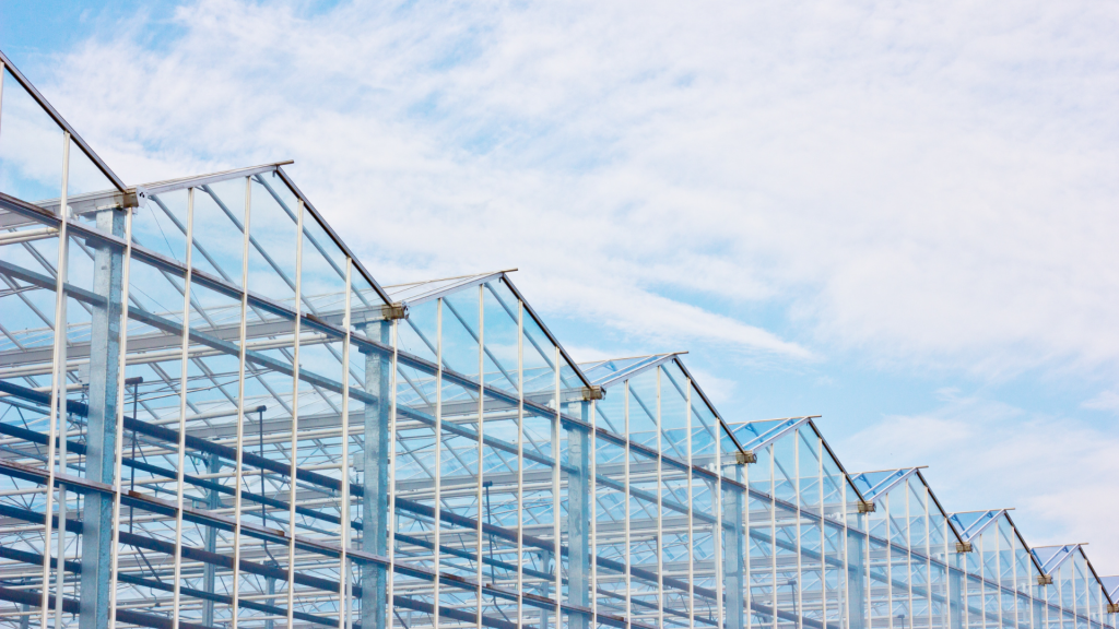 Understanding Construction: What Is Light Gauge Steel Framing? - Knowledge