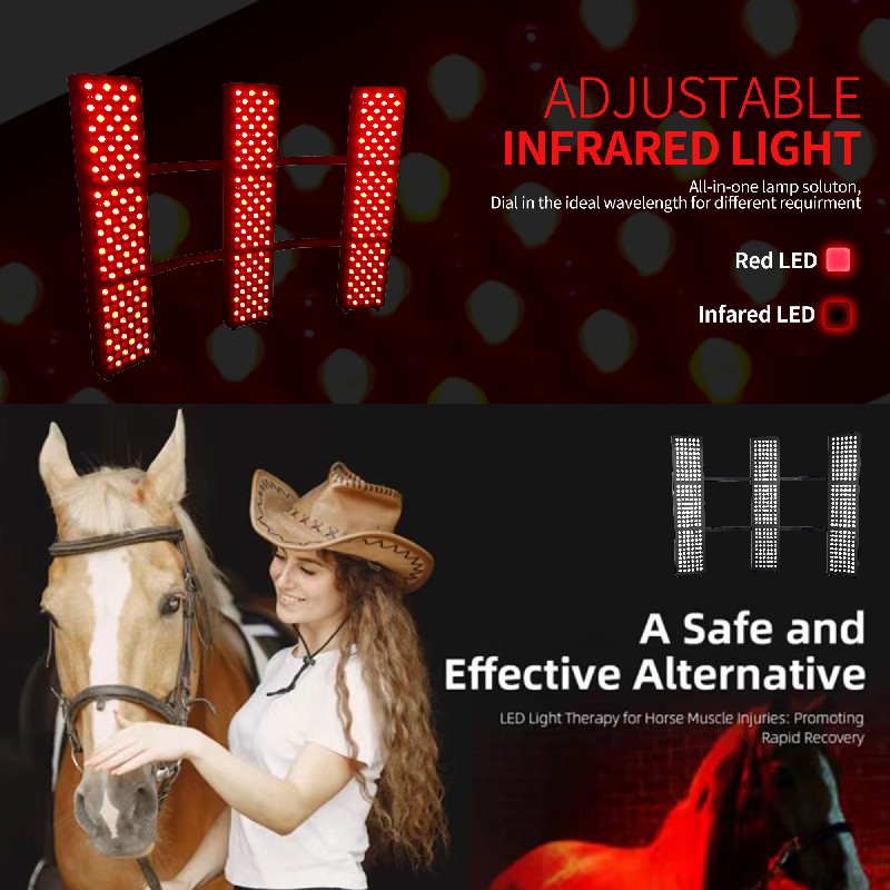 How Red Light Therapy for Horses Can Prevent Injury | Sunglor