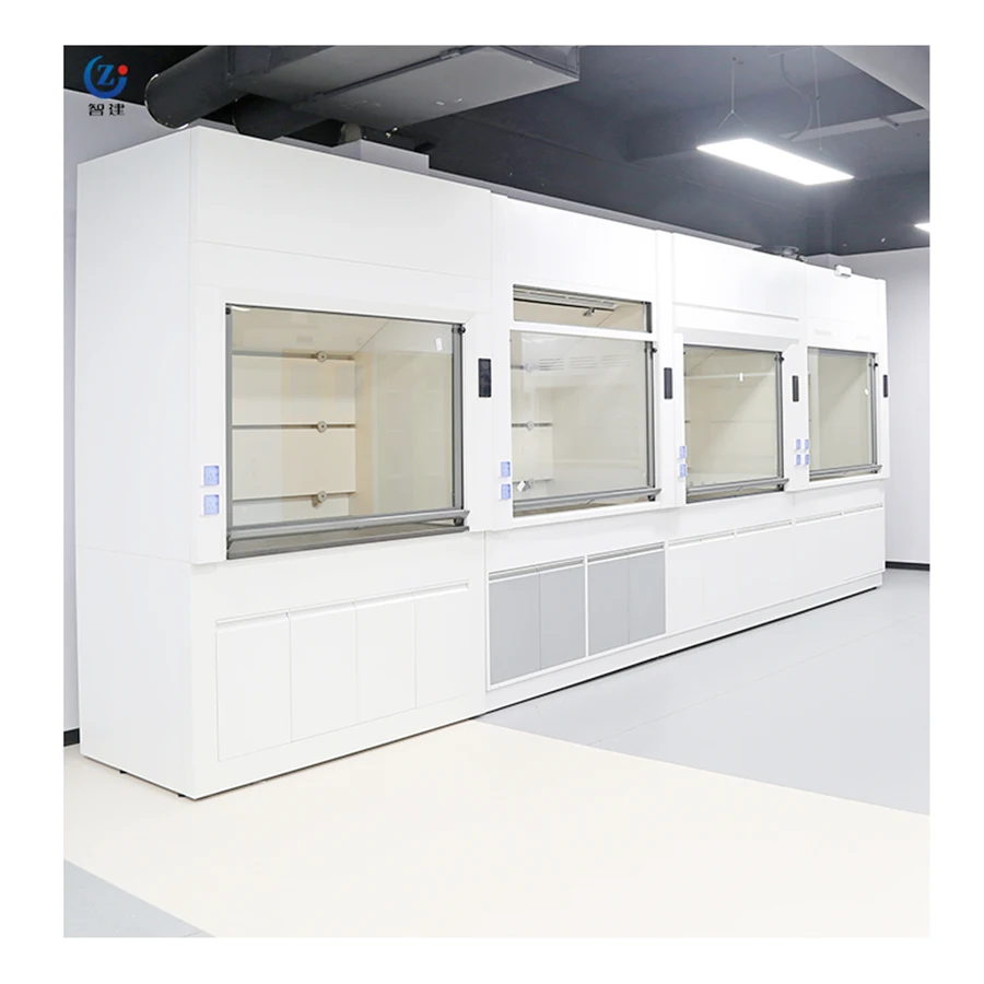 Explosion Proof Ducted Fume Hood Worktop Fume Cupboards for Hospital Lab