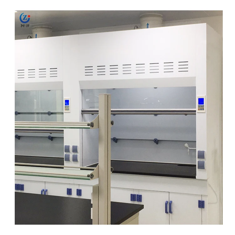 What Is Stool Lab? | Topfea Lab