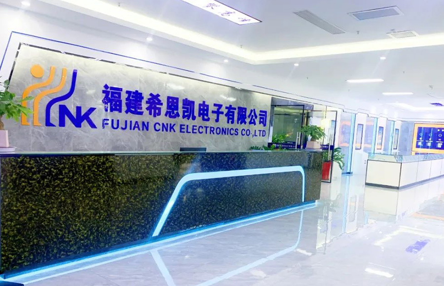 Custom LCD Display Module Manufacturer & Supplier | CNK