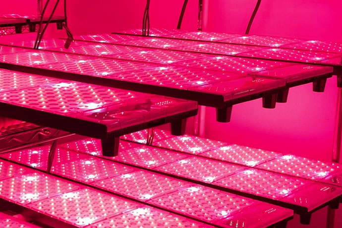 SPA & Sauna Red Light Therapy Panel | REDDOT LED