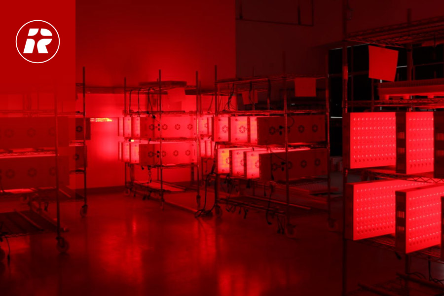 Reddot Tests rigoureux et processus de vieillissement pour les panneaux ...