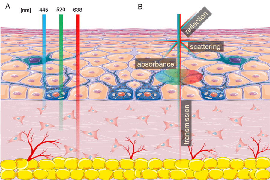 Photobiomodulation (PBM): Science, Benefits & Choosing a Device
