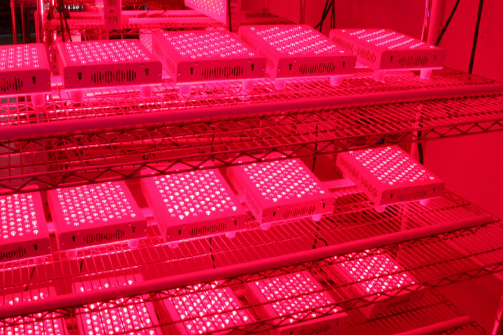 Top 10 Tabletop Red Light Therapy Panel Manufacturers (2026 ...