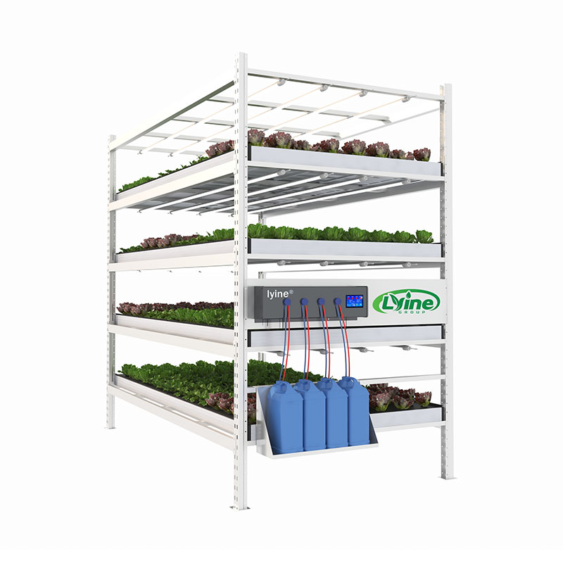 Lyine hydroponics vertical EBB flood and drain table system for Leafy greens
