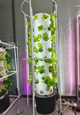 Greek Aeroponic Tower - Shipping Container Farms System