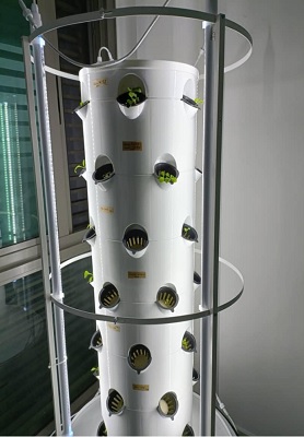 Malaysia Aeroponic Tower - Shipping Container Farms System