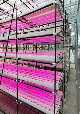 Morocco NFT Planting System - Shipping Container Farms System