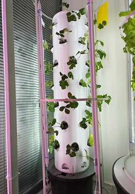 Croatian Hydroponic Tower System - Shipping Container Farms System