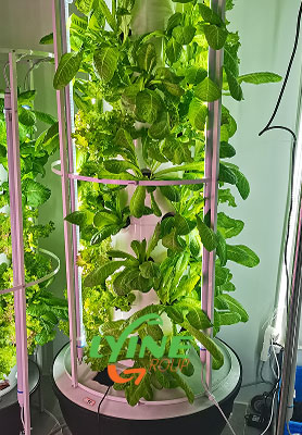 Colombian Aeroponic Tower System - Shipping Container Farms System