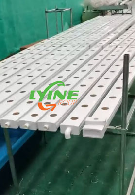 Puerto Rico NFT Hydroponics System - Shipping Container Farms System