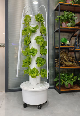 Two 4P6 Aeroponic Tower Systems in the United States - Shipping ...