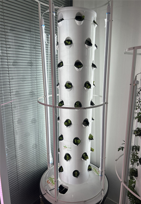 Australian Customer Purchased 5 Units of Aeroponic Tower System with ...