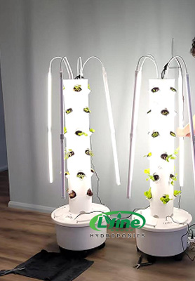 Canadian Customer Put 50 Sets of Hydroponic Tower System for Indoor Use ...