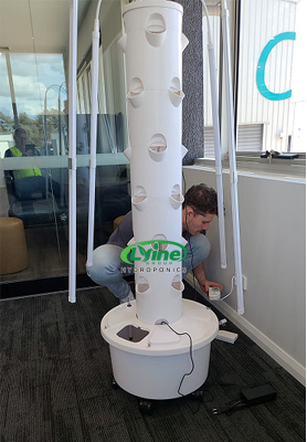 Australian Customer Grows Vegetables at Home with Hydroponic Tower ...