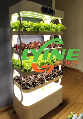 Thailand Indoor Hydroponic Grow Cabinet - Shipping Container Farms System