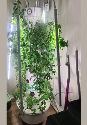 Canadian 4P6 Hydroponic Tower Distribution - Shipping Container Farms ...