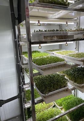 British Fodder Container - Shipping Container Farms System