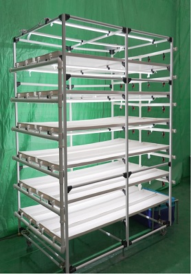 Australian Microgreen Rack System - Shipping Container Farms System