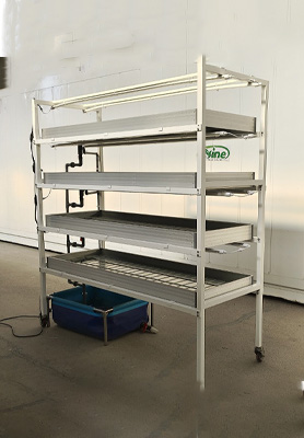 Spain 4-layer Vertical Ebb and Flow Table System - Shipping Container ...