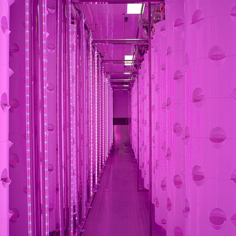 Hydroponic Tower Container Farming - Lyine