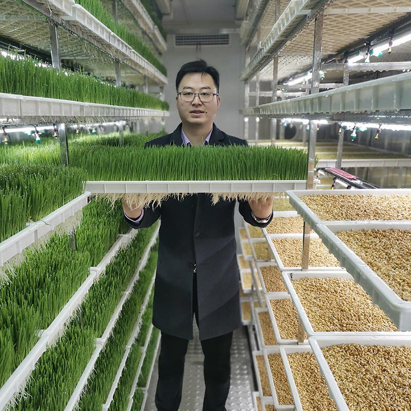 Hydroponic Fodder Container Farming - Lyine