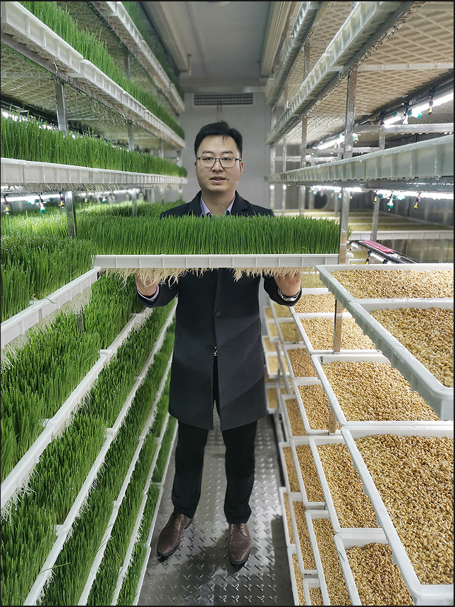 Hydroponic Fodder Container Farming - Lyine